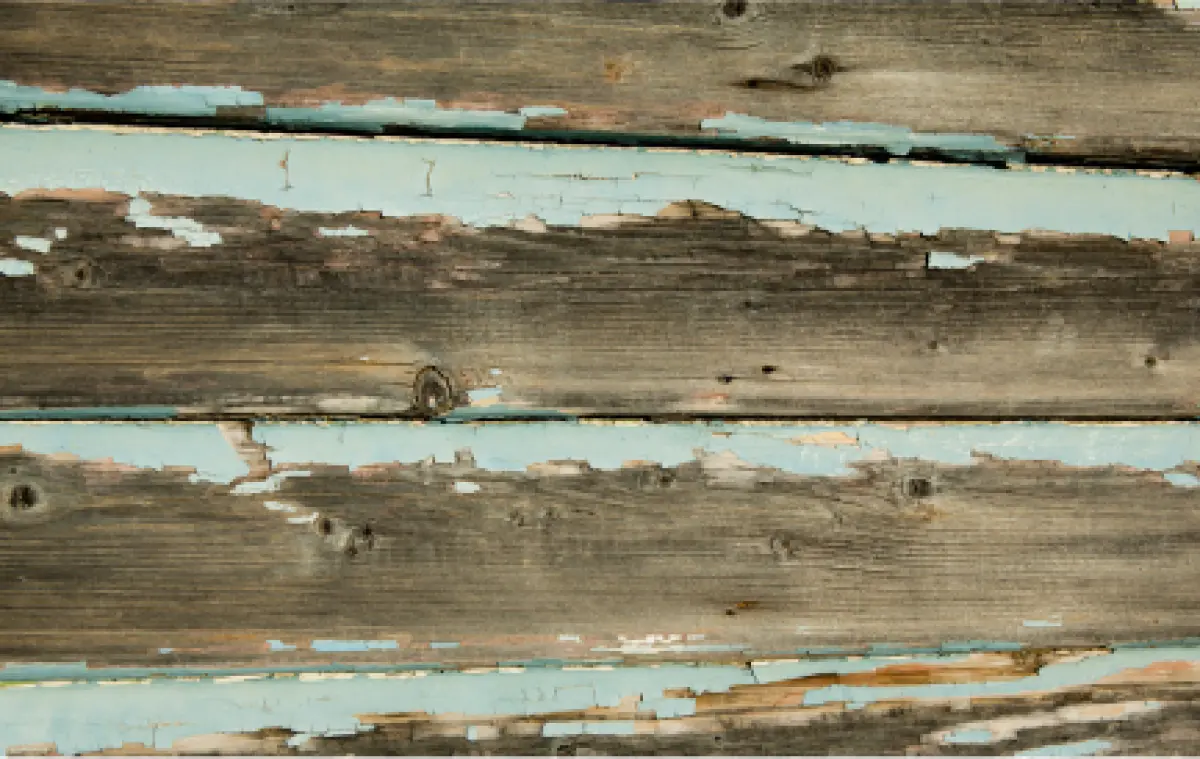 Horizontal timber weatherboards | BRANZ